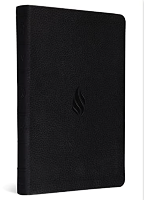 Bible (Leather) – UNITED Church DE